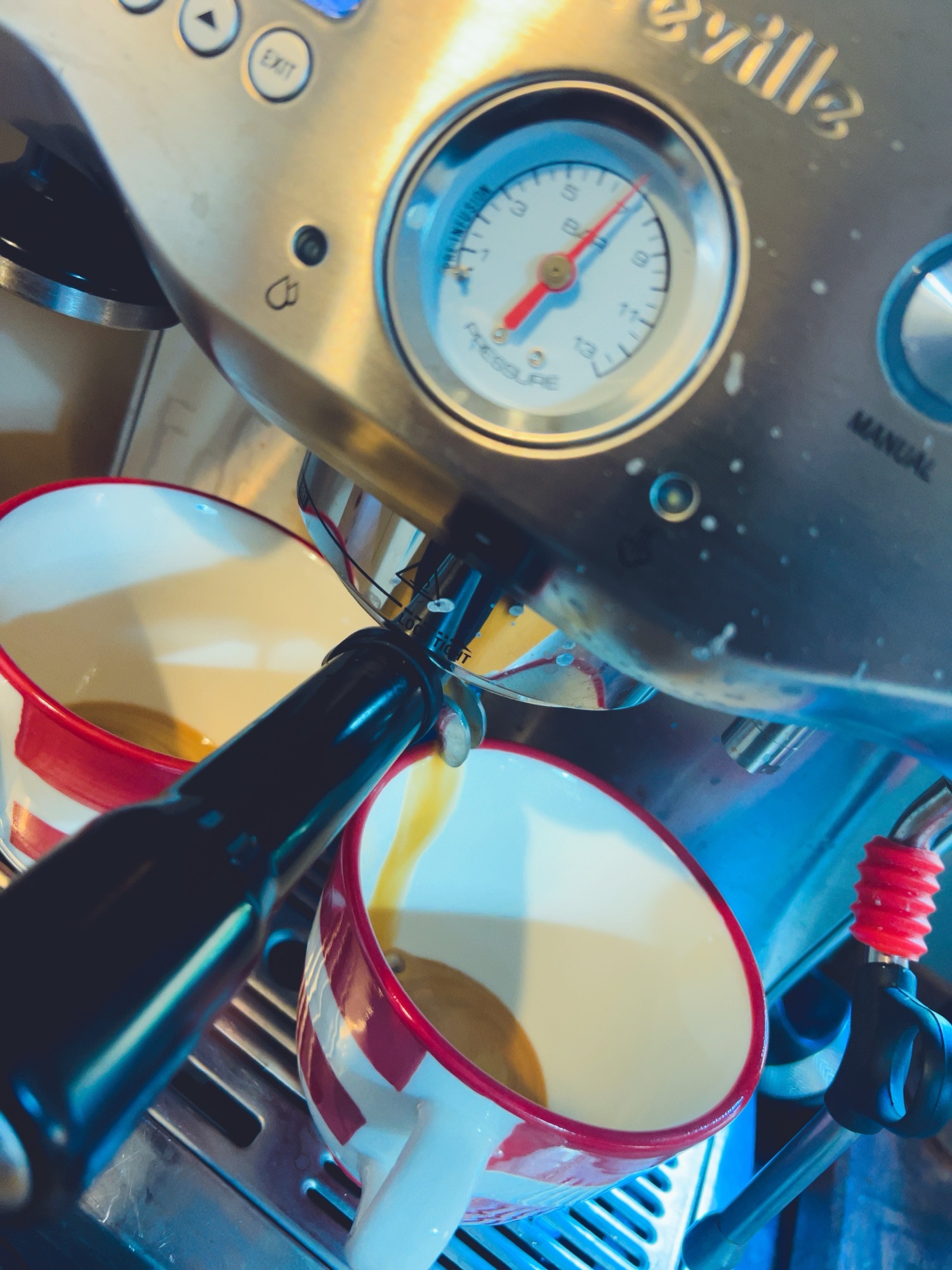 Oh that’s why… – Fat Bunny